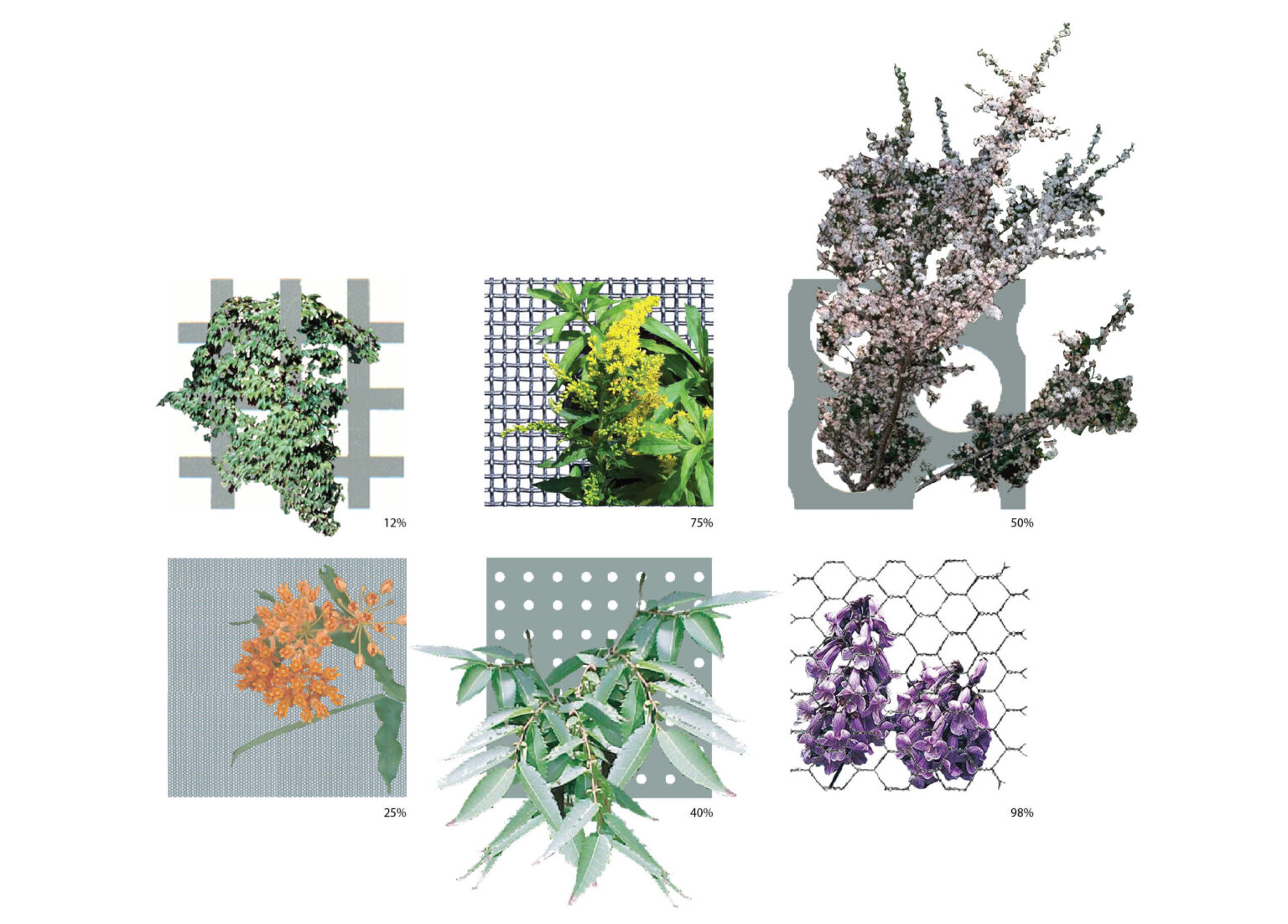 Designing the High Line - PellOverton Architects